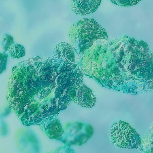 Innovative Applications of Native MS: From ADCs to AAVs | Market ...