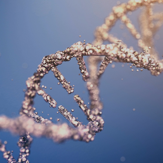 Building Artificial Proteins Using Peptide-Oligonucleotide Conjugates ...