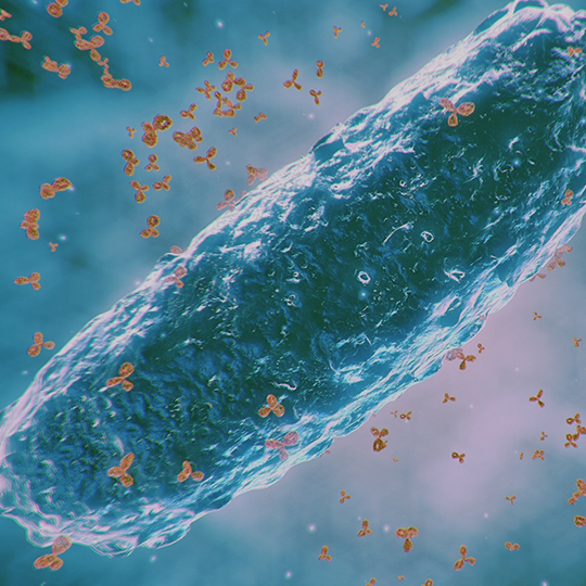 Optimising Immunogenicity Risk By Design | Market Insights | Nextgen Biomed