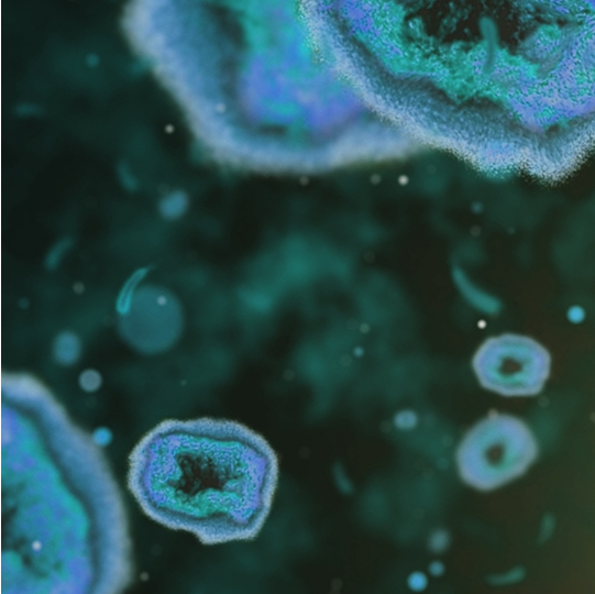 NeoSELECT: An AI-Enabled Cancer Vaccine Platform | Market Insights ...