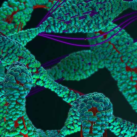 AI-Powered Peptide Design: Transforming Drug Discovery with Machine ...