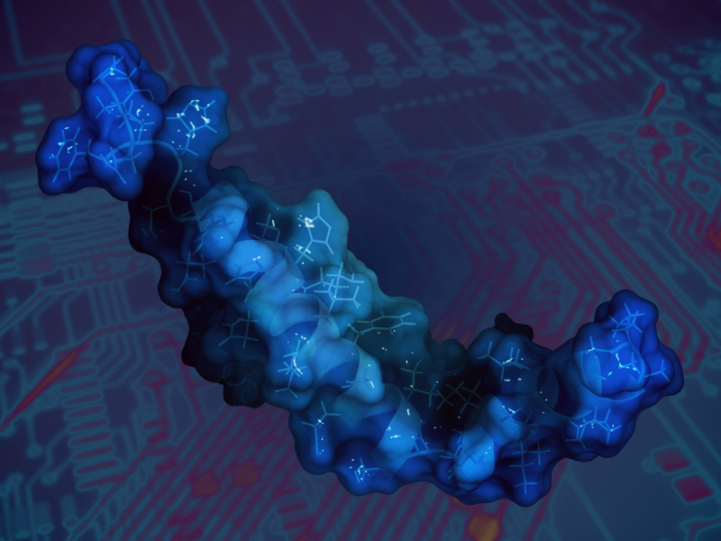 ProteinQure’s Novel Peptide-Drug Conjugate Cleared to Enter the Clinic in US and Canada | News ...