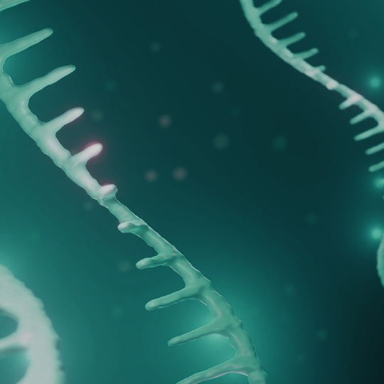 Reshaping Cardiac Health with MicroRNA Therapeutics | Market Insights ...