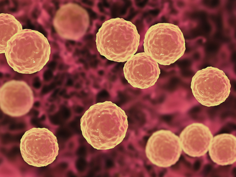 MIT Develop New Method of AAV Manufacture for Gene Therapy | News ...